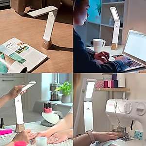 Daylight Company Smart Go Portable Ideal for Reading, Light Therapy, Everyday Tasks, Crafts, Desk Work, DIY, Led, Chargeable lamp, 1 Count (Pack of 1), White