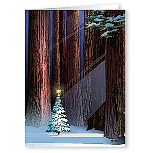 Christmas Tree in The Forest Holiday Card - 18 Christmas Cards & Envelopes -USA Made- Winter Holiday Forest (Standard)
