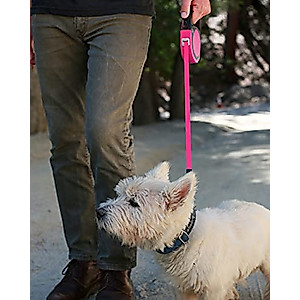 Taglory Retractable Dog Leash, 16ft No Tangle Dog Leash Retractable for Puppy Small Medium Dogs Up to 45 lbs, One-Handed Brake, Pause, Lock, Pink