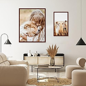 HLiWEGNS 16x20 Poster Frame Dark Walnut, Single, Woodgrain Vintage 16 x 20 Picture Frame, Gallery 20x16 Frame with Plexiglass for Artwork, Poster, Print, Photo Display