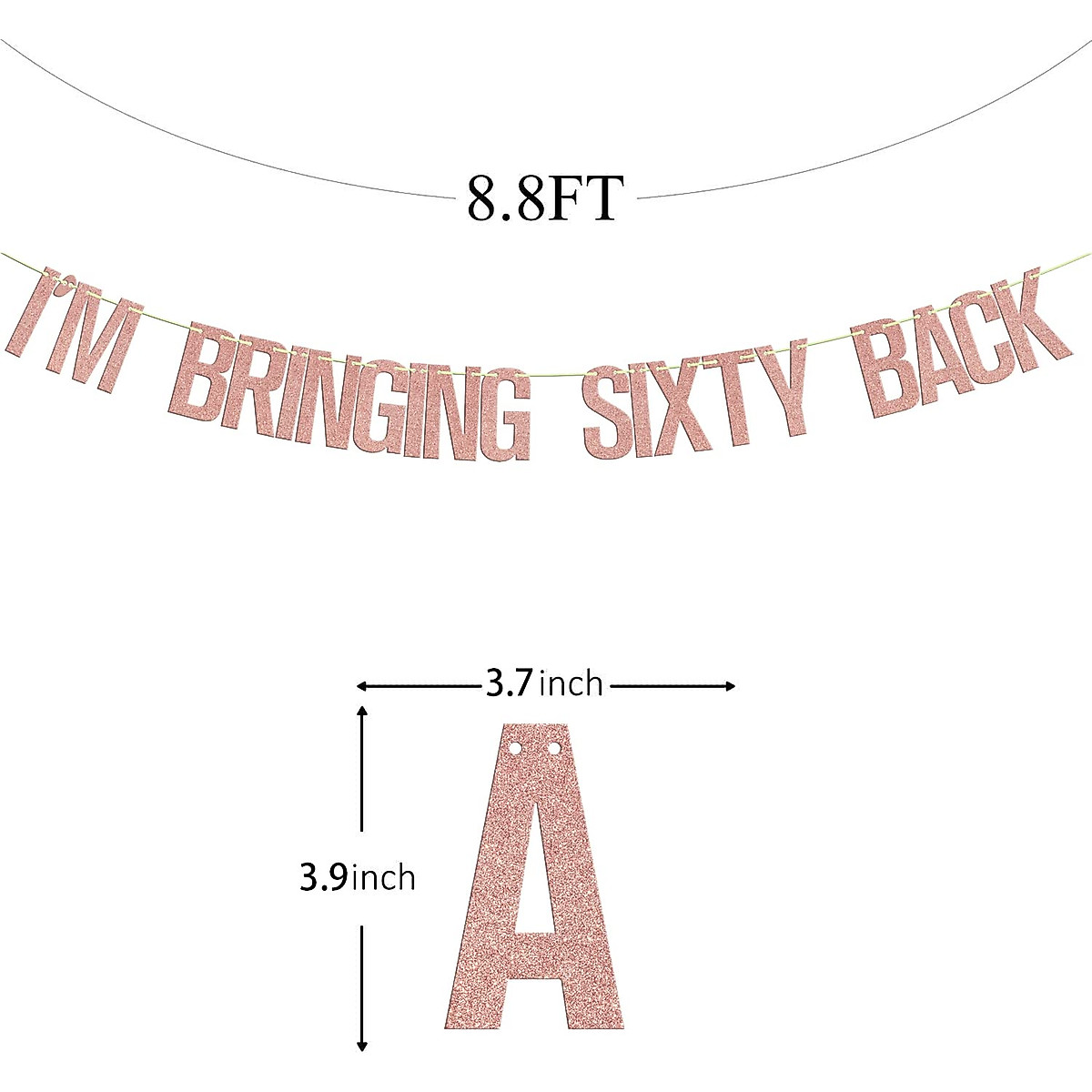 I'm Bringing Sixty Back Banner, 60th Birthday Decorations, Cheers to 60 Years/I'm 60, Funny Sixty Birthday Party Decors, 60th Anniversary and Birthday Party Supplies Rose Gold Glitter