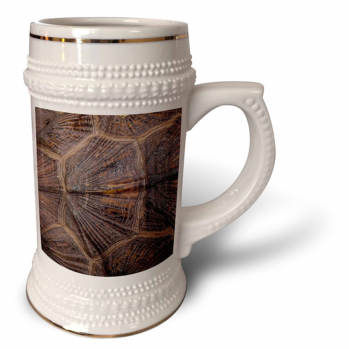 3dRose Wood Turtle carapace detail, USA - Stein Mug, 18oz , 22oz, White
