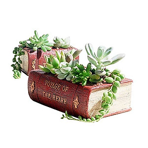 Aygrün Succulent Pots, Cute Resin Animal Flower Planters Decorations, 4 Inches, Creative Pot for Sempervivum with Drainage, Gift for Women, Man, Office and Garden Decor Book, 5.5″x4.0″x2.2″
