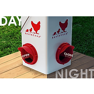 RentACoop Chick2Chicken 5lb 2-Port Feeder - Includes Anti-Roost Lid and Slider Port Covers - Suitable for Quail, Pigeons, Doves, Chicks, and Adult Chickens