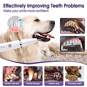 VVHOMIFE Dog Teeth Cleaning Kit-Dog Tooth Plaque Remover-Ultimate Pet Dental Care Kit - Ultrasonic Teeth Cleaner and Plaque Remover for Dogs | Complete Oral Hygiene Solution-White