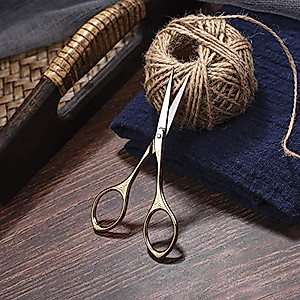 HITOPTY Small Embroidery Scissors, 3.9in Stainless Steel Sharp Craft Shears for Sewing, Art Work, Threading, Needlework Small Projects