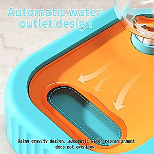 BNOSDM Triple Dog Cat Food Bowls with Gravity Water Bottle Set, Pet Slow Feeder with Detachable Stainless Steel - Tilted Raised No Spill Dog Bowls for Cat Kitten Puppy