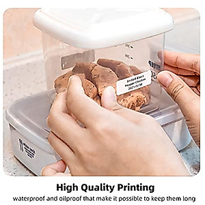 Mandizza Thermal Printer, Label Maker Machine Tape Included D10 Portable Bluetooth Connection Label Printer Multiple Templates Available for Phone Pad Easy to Use Office Home Organization