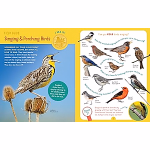 Backpack Explorer: Bird Watch: What Will You Find?