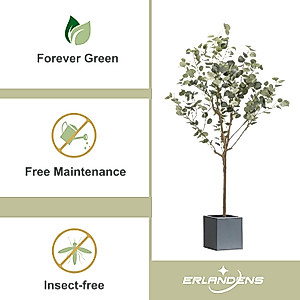Erlandens 6FT Artificial Eucalyptus Tree 71in Modern Fake Plant Silk Faux Eucalyptus Silver Dollar Leaves in Pot for Outdoor Indoor Office Housewares Living Room Wedding Decor