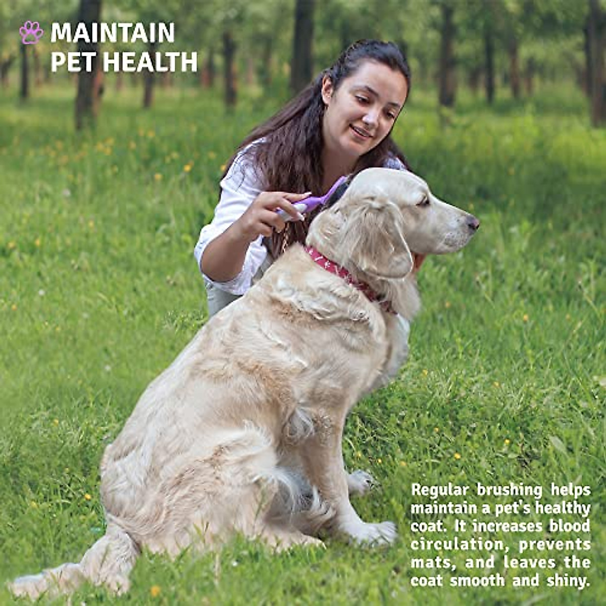 Round Bristle Pet Brush for Dogs and Cats - Gentle Grooming for Short or Long Hair - Soft Tool for Sensitive Skin Removes Dander, Dirt, and Detangles - Purple