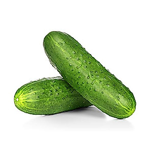 Spacemaster Cucumber Seeds, 100+ Heirloom Seeds Per Packet, (Isla's Garden Seeds), Non GMO Seeds, Botanical Name: Cucumis sativus, 85% Germination Rates
