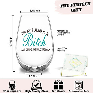 I'm Not Always, Just Kidding Funny Stemless Wine Glass Gifts for Women, Gag Christmas Birthday Gifts Ideas for Girlfriends, Women, Sister, Friends, BBF, Coworkers, Unique Friendship Wine Glass, 17oz