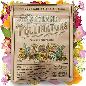 Wildflower Seeds Bulk, 2 Oz. 80,000+ Seeds, Drought-Tolerant Wildflower Mix, 20 Varieties of Drought-Tolerant Wildflower Seeds, Drought-Resistant Wildflower Seeds, Dryland Pollinators Flowers Seeds
