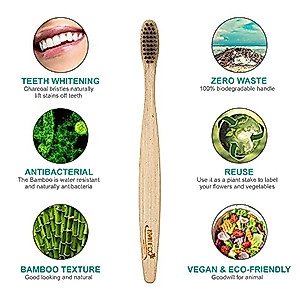 EveEco 4 Count I Bamboo Toothbrush I Soft Bristles Best for Sensitive Gums I Charcoal I Vegan I Natural Wood I BPA Fee I Recyclable I Compostable I Biodegradable | Environmentally Friendly