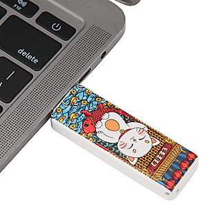 Flash Drive, Portable USB 2.0 Flash Drive with Cute Cat Pattern, Thumb Drives Memory Stick Data Storage Pen Drive for Computer Laptop(128GB)