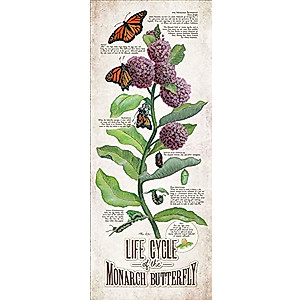 Life Cycle of The Monarch Butterfly Vintage Retro Tin Signs Wall Decor Metal Bar Plaque Pub Poster Club Tavern Shop 4x16 Inch