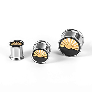 TBOSEN 2PCS Sunrise Style Plugs and Tunnels for Ears Stainless Steel Ear Gauges Piercing Hangers Expander Stretchers 0g-1'' in 8mm-25mm