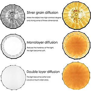 NEEWER Hexadecagon Softbox 36 inches/90 centimeters with Grey Rim and Bowens Mount, Portable Softbox Diffuser Compatible for NEEWER CB60 CB100 CB150 CB60 RGB and Other Bowens Mount Lights