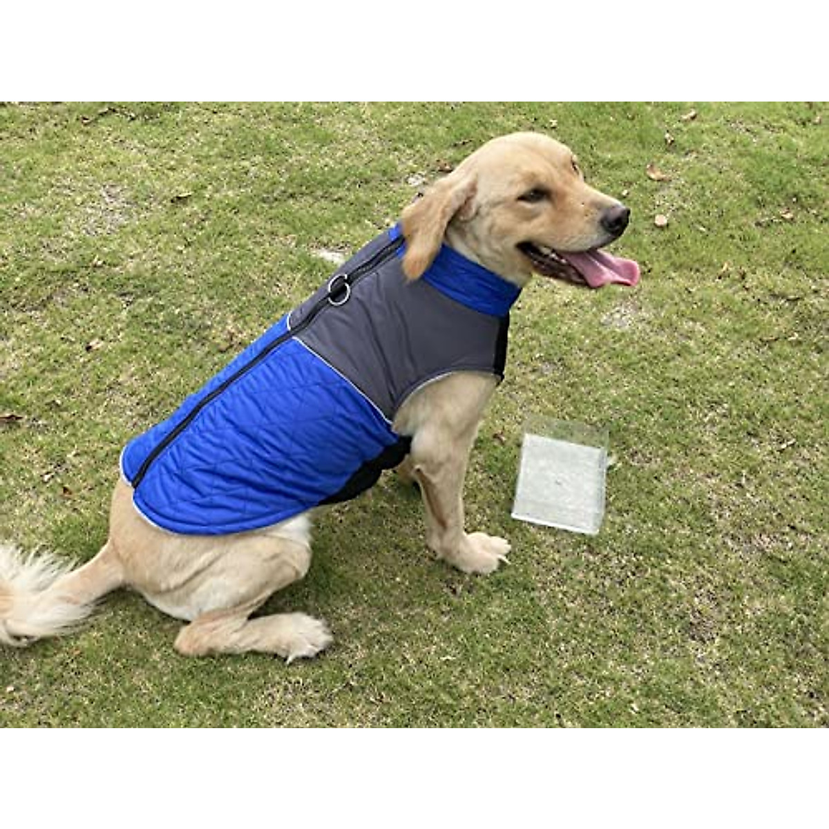 Fleece Lining Warm Dog Coats Padded Vest with D Ring Waterproof Reflective Puppy Jacket for Small Medium Large Dog Winter Coat Clothes Zip Up Apparel for Cold Weather (XL, Blue)