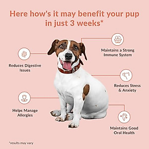 Wuffes Digestive Probiotics for Dogs - Probiotic Chews for Dogs for Itching - Dog Health Pet Supplies - Dog Vitamins and Supplements - 30 Probiotic Dog Chews & Digestive Enzymes for Itchy Skin & Gut