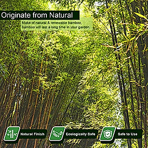 Jollybower 20pcs 5/8" D Thicker Heavy Duty Bamboo Stakes, 6FT Plant Stakes, Natural Garden Stakes for Tomato, Bean, Flowers,Trees Potted and Climbing Plant Support