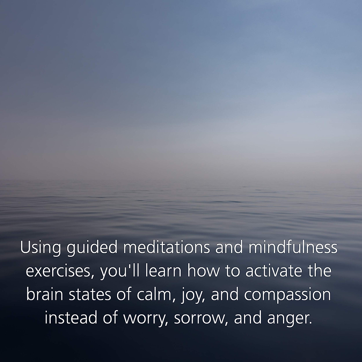 Buddha's Brain: The Practical Neuroscience of Happiness, Love, and Wisdom