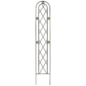 Arcadia Garden Products TR02 Arched Garden Trellis, 5' x 10", Black