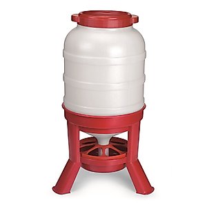 Little Giant® Plastic Dome Feeder | Heavy Duty Plastic Gravity Fed Poultry Feed Container Tank | Backyard Poultry for Hobbyists, Farmers and Ranchers | 60 LB