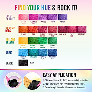 Punky Ebony Semi Permanent Conditioning Hair Color, Non-Damaging Hair Dye, Vegan, PPD and Paraben Free, Transforms to Vibrant Hair Color, Easy To Use and Apply Hair Tint, lasts up to 35 washes, 3.5oz