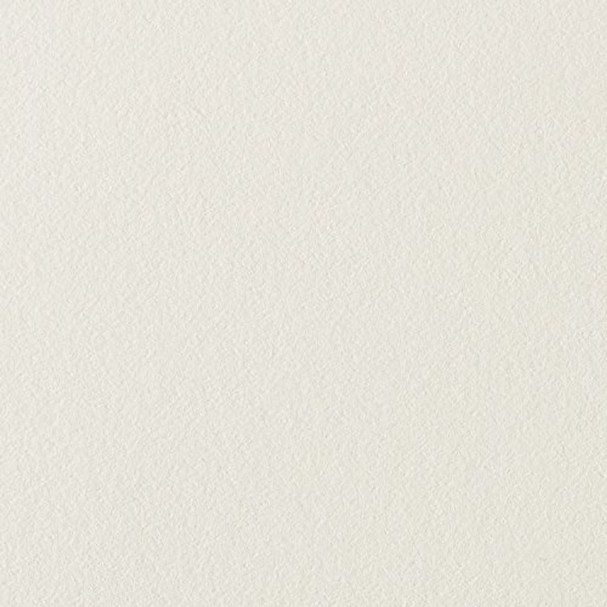 Watermark-free Resume Paper by Magnum Opus | 50 sheets | Exceptional ivory 28 lb 8.5x11 | Ideal stationery for professional/executive resumes letterhead and interviews