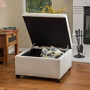 Christopher Knight Home Richmond KD Fabric Storage Ottoman, Beige