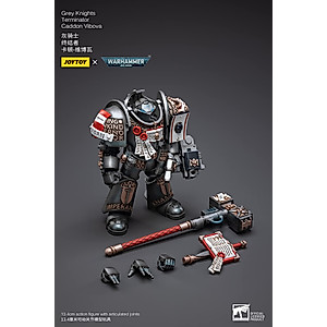 BLOOMAGE JOYTOY (BEIJING) TECH Warhammer 40k: Grey Knights Terminator Caddon Vibova 1:18 Scale Figure