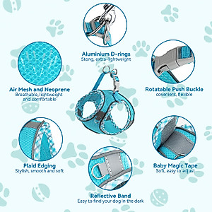 Small Dog Harness and Leash Set, No Pull Adjustable Reflective Breathable Mesh Step in Dog Harness Easy Walk Dog Harness for Extra Small/Small Medium Dog Cats Puppy Outdoor Hiking Training (Pink XXS)