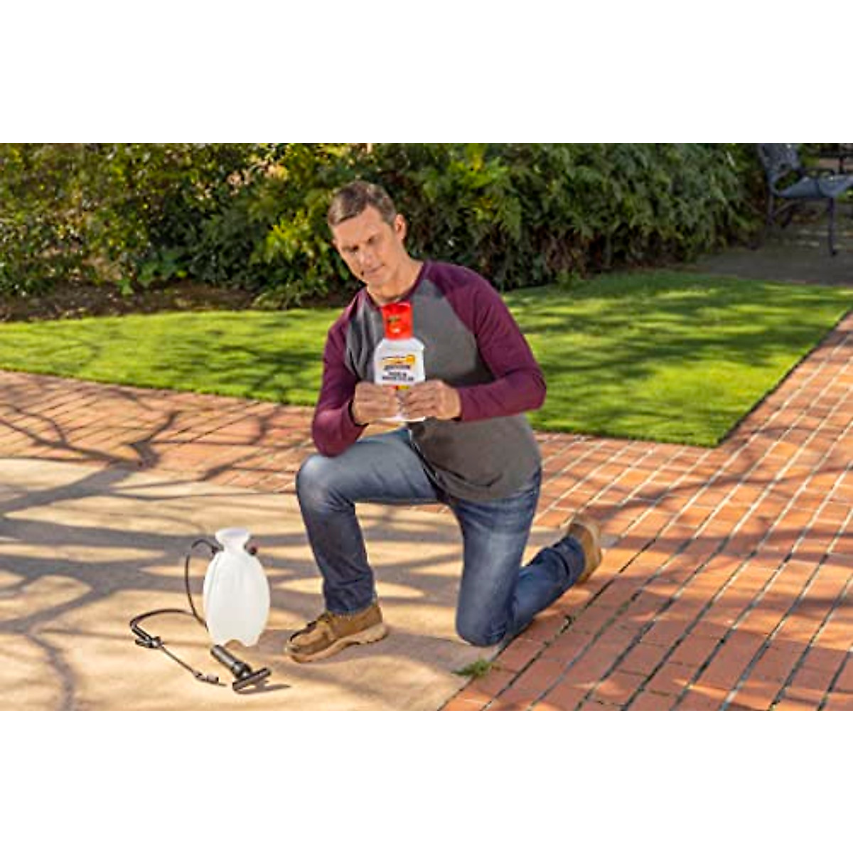 Spectracide Weed and Grass Killer Concentrate, 32 Ounces, With Accumeasure System