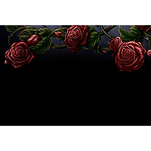 Wild Star Home FOREVERMORE Queensize Bed Duvet & Pillow Protector Set