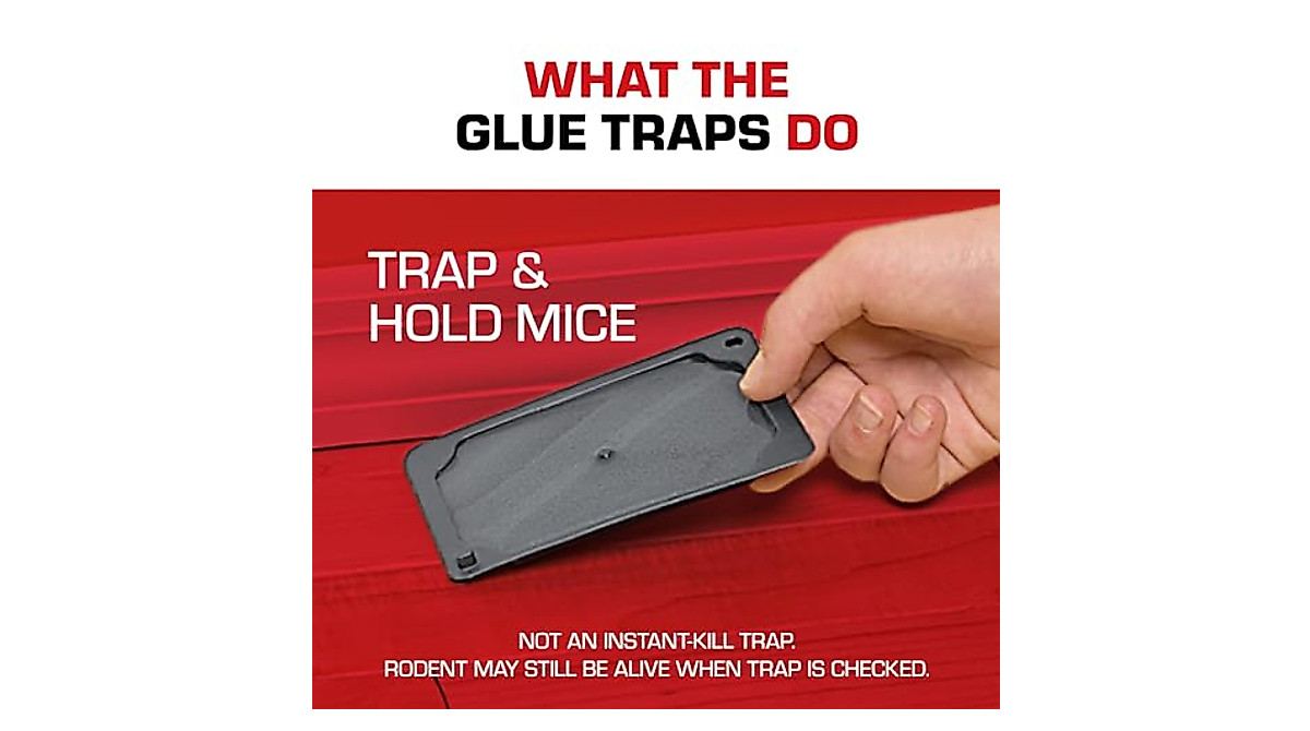 Tomcat Mouse Trap with Immediate Grip Glue for Mice, Cockroaches ...