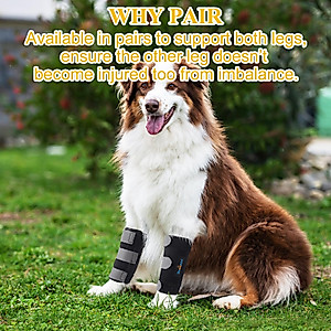 Bawektrl Dog Wrist Brace Compression Carpus Wraps with lateral Metal splints, Provide More Support for Canine Front Leg, Help with Cruciate Ligament, Wound Healing and Loss of Stability from Arthritis