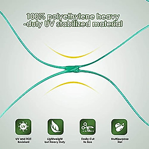 Ruolan Bird Netting for Garden Protect Vegetable Plants and Fruit Trees,Plastic Trellis Netting for Birds, Deer,Squirrels and Other Animals