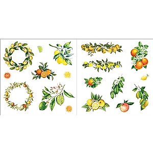 Bunches of Botanicals Sticker Book (Over 500 stickers!)