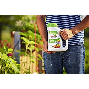 Osmocote Smart-Release Plant Food Flower & Vegetable, 4.5 lb.