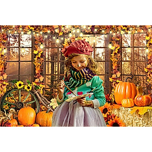 7x5ft Fall Window Photo Backdrop Autumn Forest Scenery Maple Leaves Pumpkin Harvest Photography Background Fall Theme Thanksgiving Day Party Decorations Banner Birthday Baby Shower Decor
