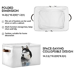 Gougeta Foldable Storage Basket with Handle, Cute Siberian Husky Dog Rectangular Canvas Organizer Bins for Home Office Closet Clothes Toys 1 Pack