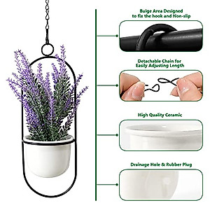 Hanging Planters for Indoor Plants Holder - Window Plant Hanger Indoor with 3 Ceramic Pots Wall Ceiling Home Office Outdoor Herb Garden Decor