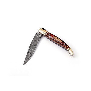 Damascus steel folding knife with leather sheath, 8.5 inches long laguiole pocket knife with 4 inches long Damascus steel Blade, 4.5 inches multi color wood scale with Brass bolster and pommel, Leather sheath included (Brown)