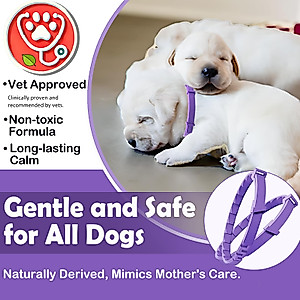 Lintriguingly Calming Collars for Dogs - 4 Packs, Natural Pheromone Relief for Anxiety, Stress & Separation, Adjustable 25-Inch Size, Calming Dog Pheromone, Anxiety Collar for Dogs, Lasts 60 Days