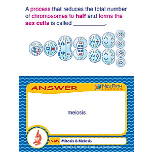 NewPath Learning Mitosis & Meiosis Learning Center Game - Grades 6-9, Standard, Full
