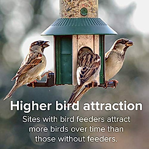 Blue Seal Neat Feast Wild Bird Seed | Convenient Shell-Free Mix | Attracts Wide Variety of Birds | 20 Pound Bag