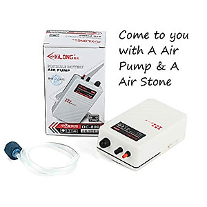 fulhengy Battery Aquarium Air Pump, Quiet DC-800 Backup Fish Tank Air Bubbler, Portable Power Outage Aerator Emergency Oxygen Diffuser, Keeps Fish Safe & Bait Minnow Shrimp Alive