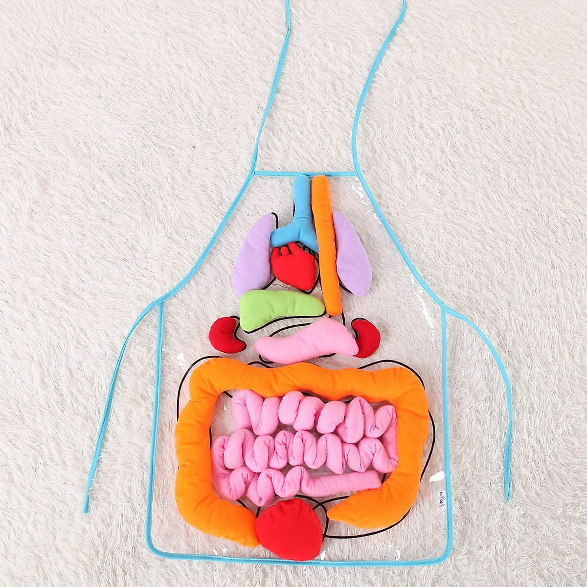 vocheer 3D Organ Apron, Anatomy Apron Human Body Organs Awareness Montessori Educational Tool Toy for Home Preschool Teaching Aid, Transparent…